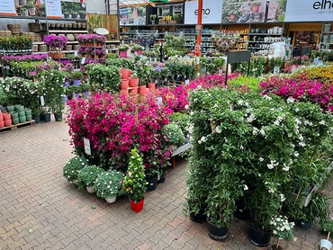 Bekijk de foto's van het grootste tuincentrum van Amsterdam ...