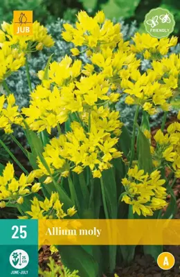 Allium moly 25 allium bollen kopen? - tuincentrum Osdorp :)