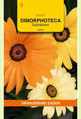 Oranjeband zaden Dimorphoteca, Satijnbloem Apollo kopen? - tuincentrum Osdorp :)